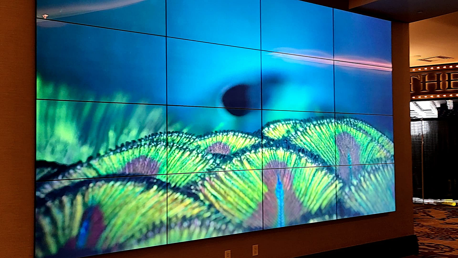 digital signage case study Cosmopolitan | AVIXA Xchange